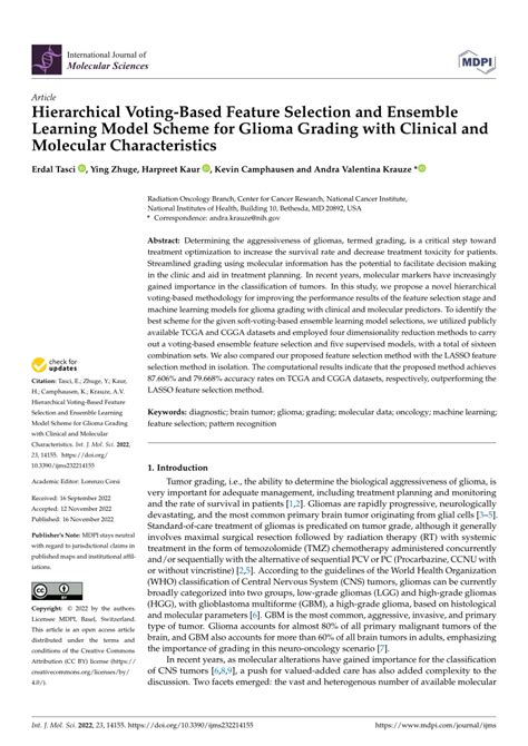 Pdf Hierarchical Voting Based Feature Selection And Ensemble Learning