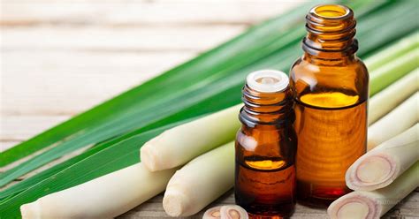 16 Unique Ways To Use Lemongrass Oil Paleohacks Blog