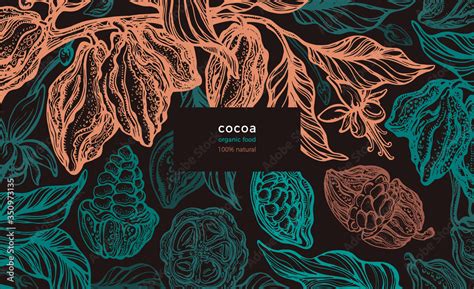 Cocoa Background Vector Art Design Tropical Plant Stock Vector Adobe