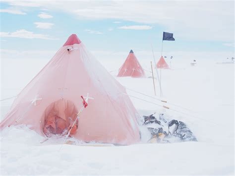 Discovery Exposes Fragility Of Antarcticas Larsen C Ice Shelf Carbon