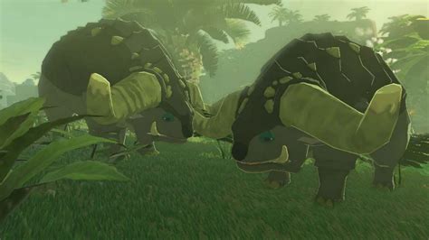 Dondon - Zelda Wiki