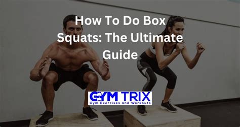 How To Do Box Squats The Ultimate Guide Gym Trix