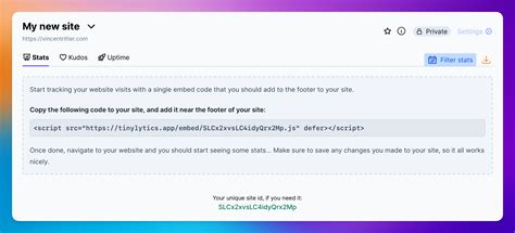 embedding your script to your site tinylytics