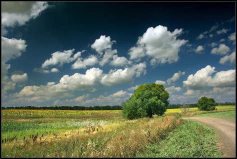 Лето. Август 2007, купить фотографии природы