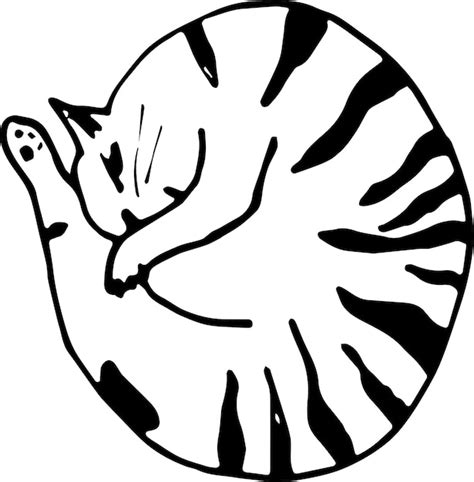 Premium Vector Cute Cat Curled Up
