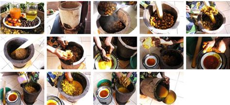 African Oil Palm And The Purpose Of Palm Fruit Industry News