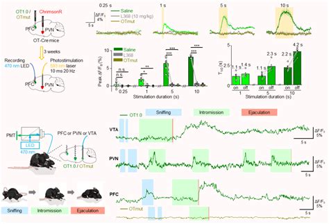 Nature Biotechnology