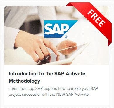 Agile Sap Activate Methodology Training By Successlearner