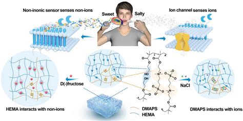 Gustation‐inspired Dual‐responsive Hydrogels For Taste Sensing Enabled