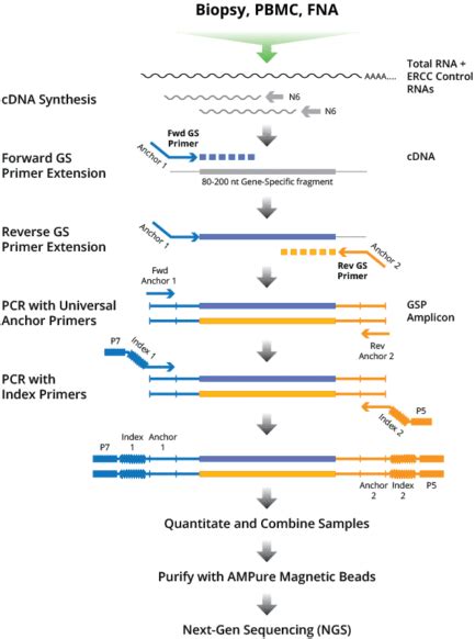 Drivermap Human Expression Profiling Kit V2 96 Multiplex Genome Wide • Nucleus Biotech