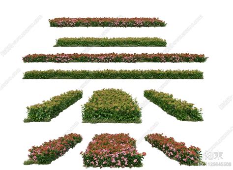分段花坛花卉灌木植物效果图psd免抠下载【id1126945508】undefined