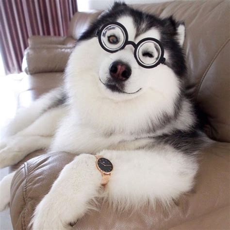 Robert N Pendergrass Home Facebook