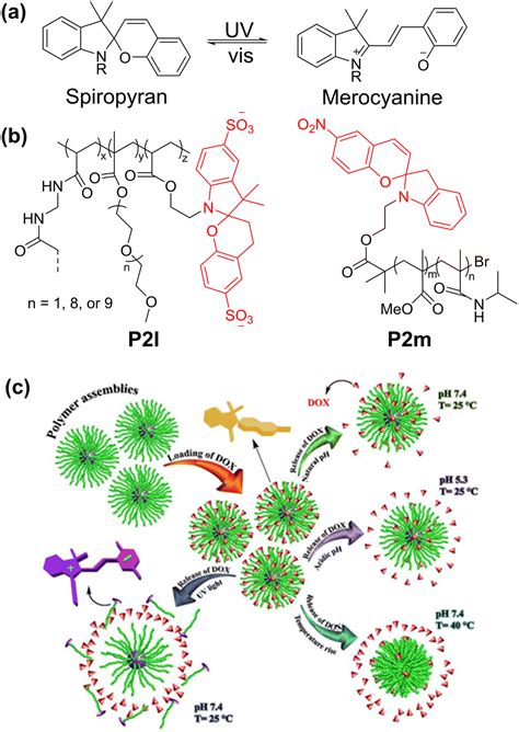 Stimuli Responsive Structureproperty Switchable Polymer Materials Molecular Systems Design