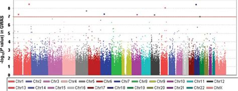 results of the gwas manhattan plot showing the 2 log 10 transformed p
