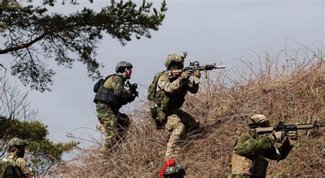 Естонија одржува воени вежби со 2 800 резервисти Вечер