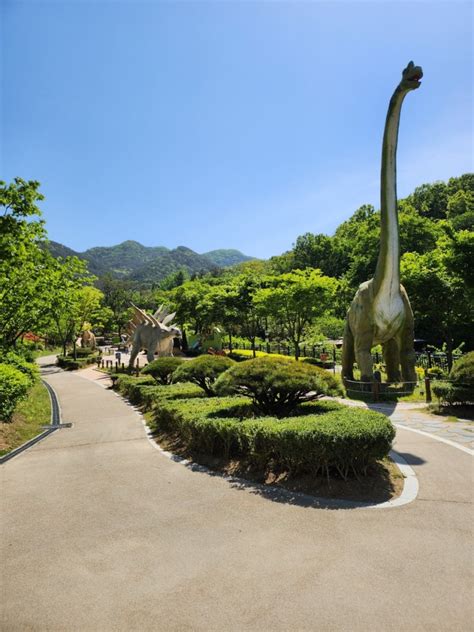 대구 아기랑 가볼만한곳 고산골 공룡공원 네이버 블로그