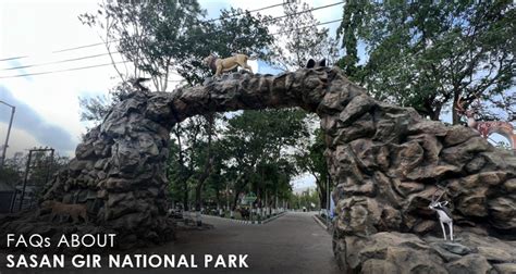 Jungle Resorts In Sasan Gir Bright View Cottage