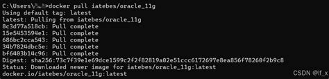 docker安装oracle 11g CSDN博客