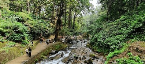 Air Terjun Grojogan Sewu Mitos Lokasi Harga Tiket Masuk