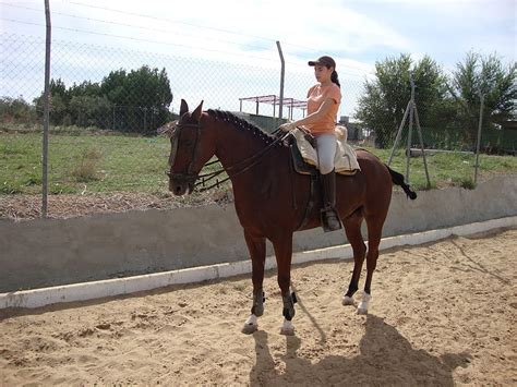 Training Day Style Cowgirl Fun Brunettes Fashion Horses