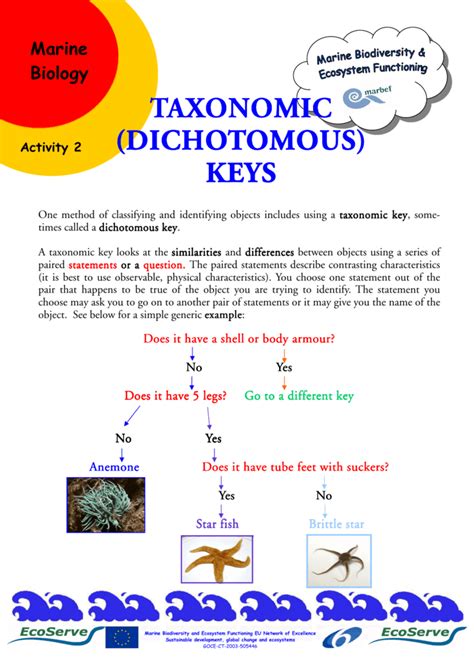 Taxonomic Dichotomous Keys