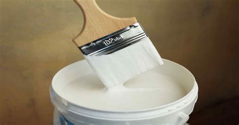 Royal Paint Design For Wall Transform Spaces With NoBroker Painting