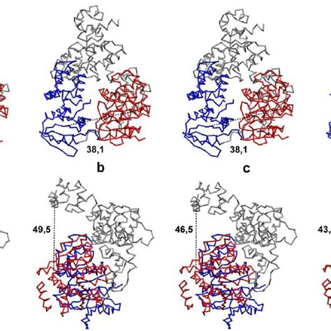 Helicase Function On DNA A Structure Of Hel308 Helicase With Download Scientific Diagram