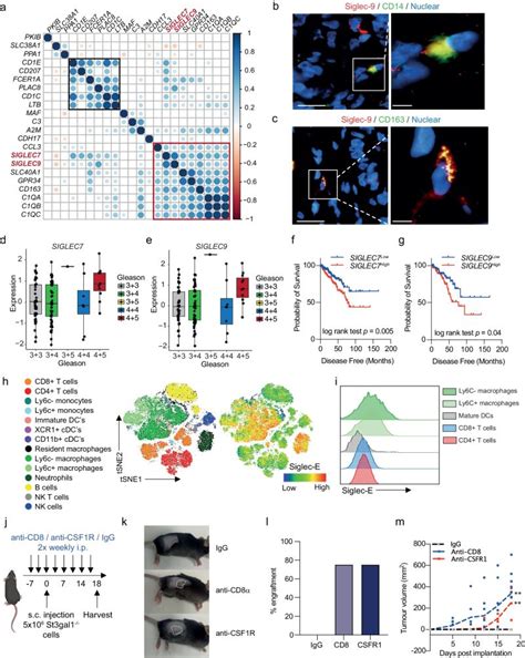 Daniel Wainwright On Linkedin Interesting Look Into The Siglec Sialic Acid Immune Axis In Prostate