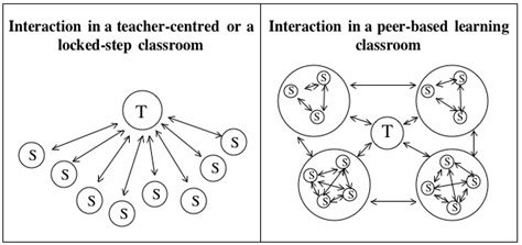Peer Interaction
