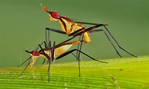 Photo Gallery Page 5 Motley News Photos And Fun