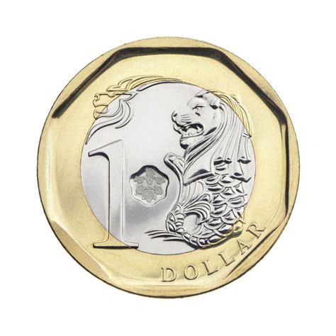 1 SGD Coin Taking Care Of My Own Business