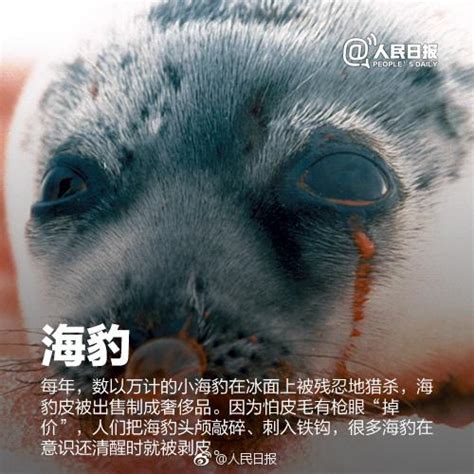 沒有買賣就沒有殺害！ 每日頭條