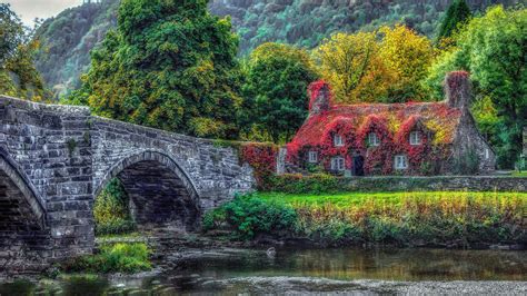 Dom porośnięty winobluszczem nad rzeką Conwy