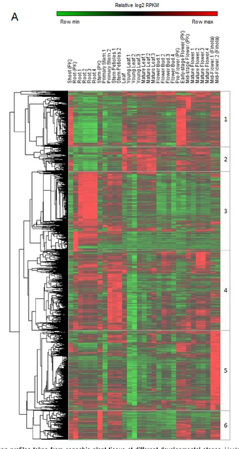 Figure 1 From Gene Expression Profiling In In Silico Cannabis Sativa Version 1 Peer Review 2