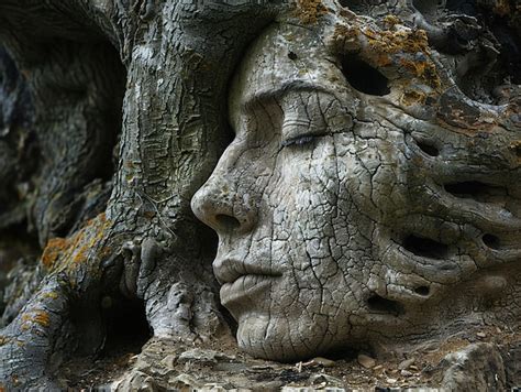 Premium Photo A Womans Face Is Covered In A Pattern Of A Tree Trunk