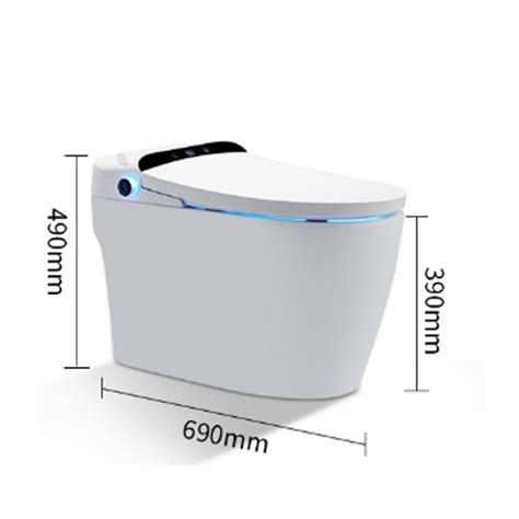 Bathroom Smart Toilet With Remote Control