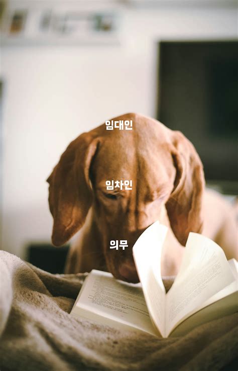 임대차계약 신고 임대인과 임차인의 의무