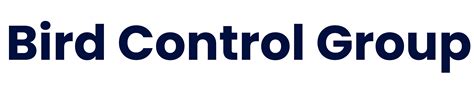 De Gratis Webinar Over Het Voorkomen Van Vogeloverlast