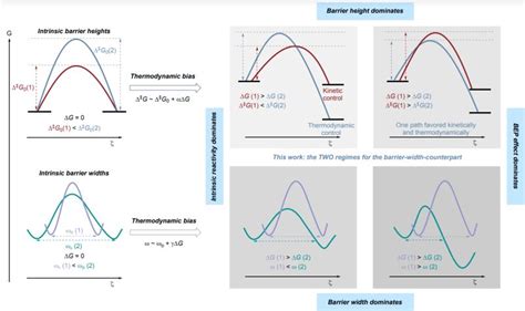The Intrinsic Barrier Width And Its Role In Chemical Reactivity On