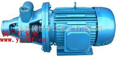 漩涡泵厂家 1W型单级漩涡泵 泵阀商务网