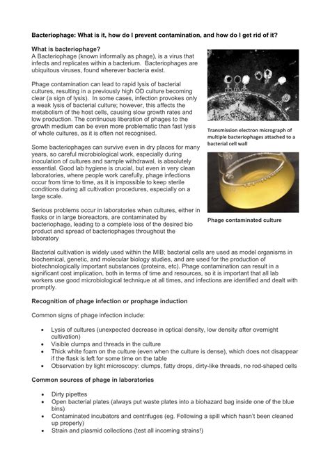 Bacteriophage What Is It How Do I Prevent Contamination And How Do I