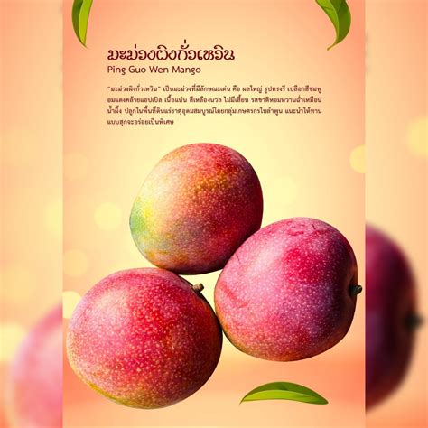 ชอบกินชอบเที่ยว 🌿 พร้อมแล้ว Facebook