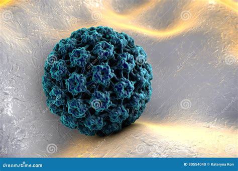 Human Papillomavirus On Surface Of Skin Stock Illustration