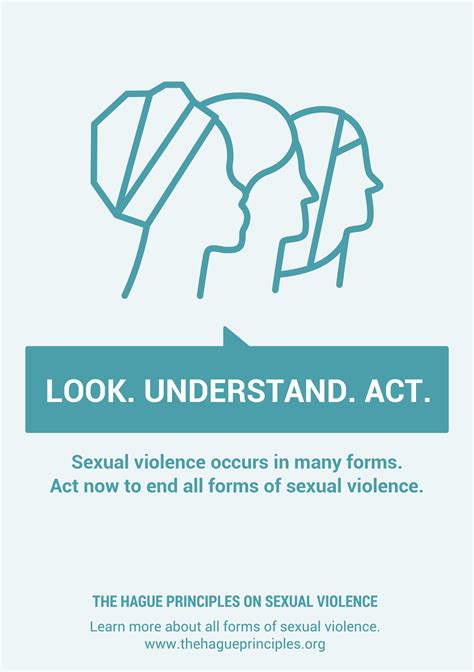 Flyers Graphs And Illustrations The Hague Principles