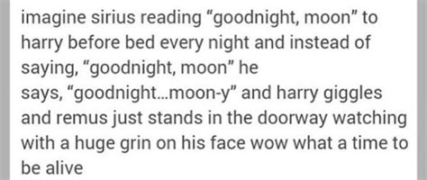 Pin By Luu On Harry Potter Harry Potter More Harry Potter Puns
