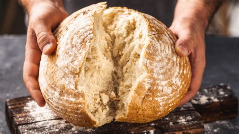 This Is The Best Place To Proof Bread In Your Kitchen