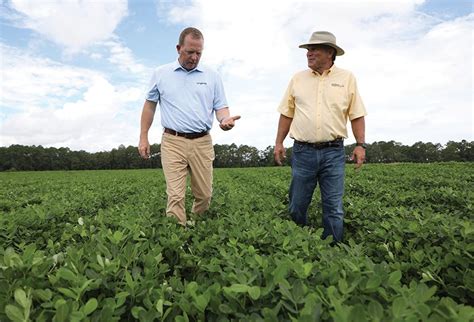 Georgia Peanut Farmer Focuses On Disease Control To Improve Crop Yield