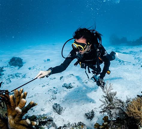 Boutique Diving Seascapes Bira Experience South Sulawesi Indonesia