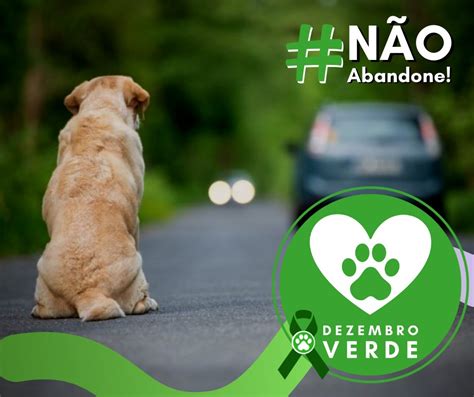 Dezembro Verde Alerta Sobre Maus Tratos E Abandono De Animais Radio