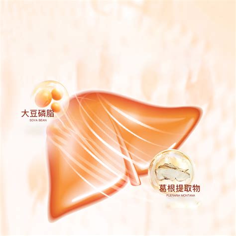 华喜达葛根提取物大豆磷脂胶囊片熬夜调理养肝清肝护肝保健食品DL 小编推荐 WePost 全民代运 马来西亚中国淘宝代运与集运专家